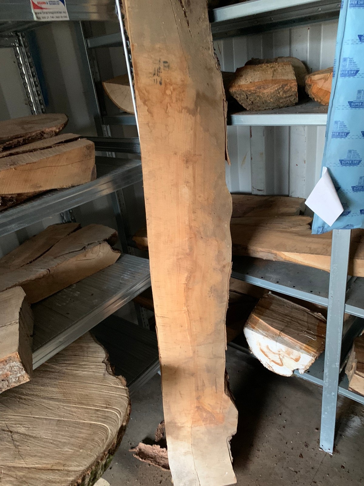 Treverk / Tremener / Eik / Ask / Alm / Sedertre / Kastanje | FINN-torget