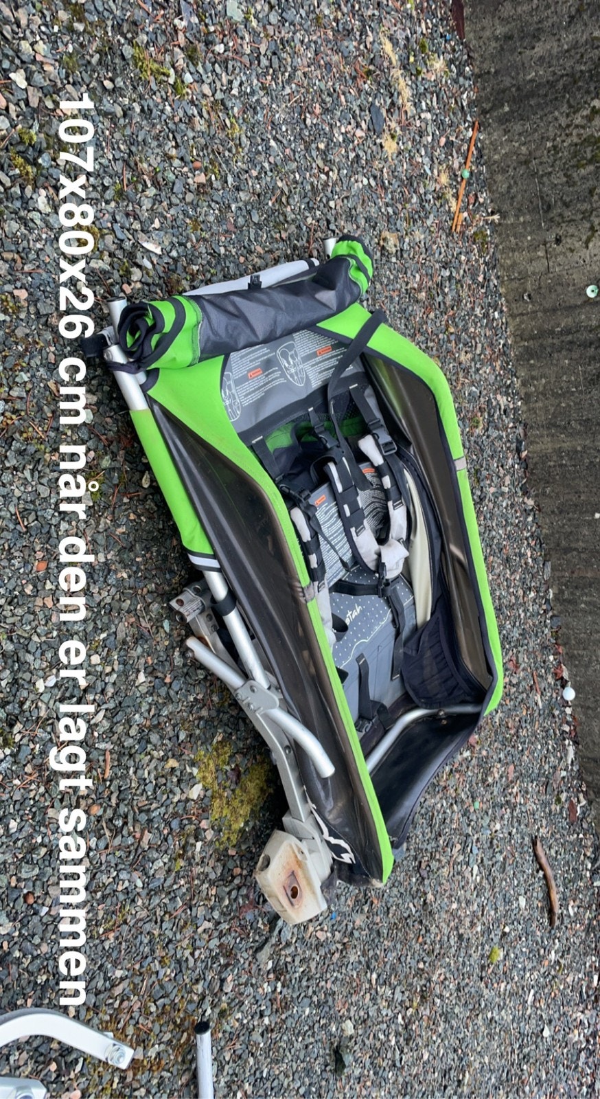 Til leie: Sykkelvogn/pulk med plass til to barn | FINN-torget