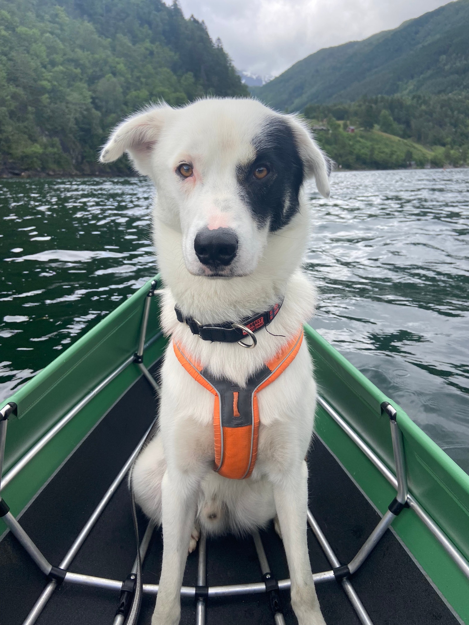 Ally Kano 18 Dr | FINN-torget