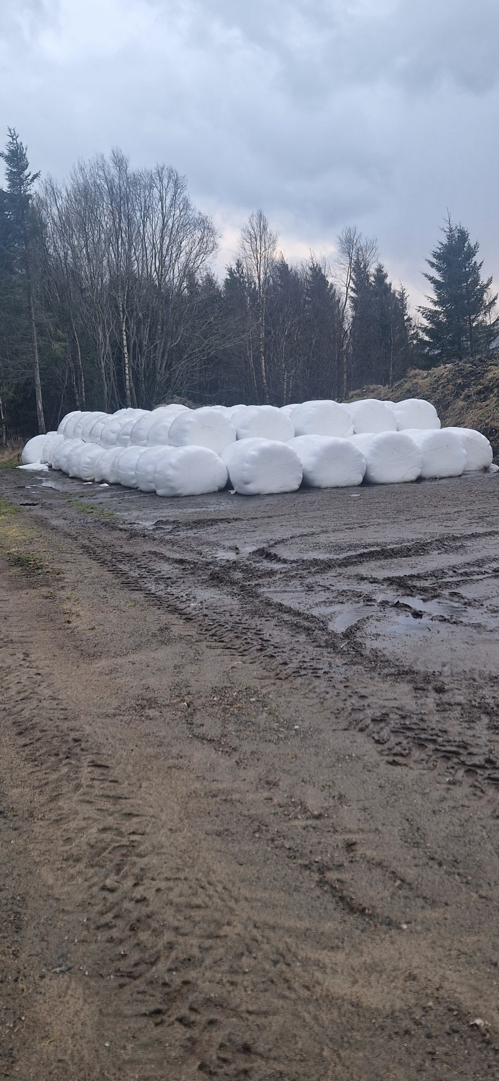 Rundball | FINN-torget