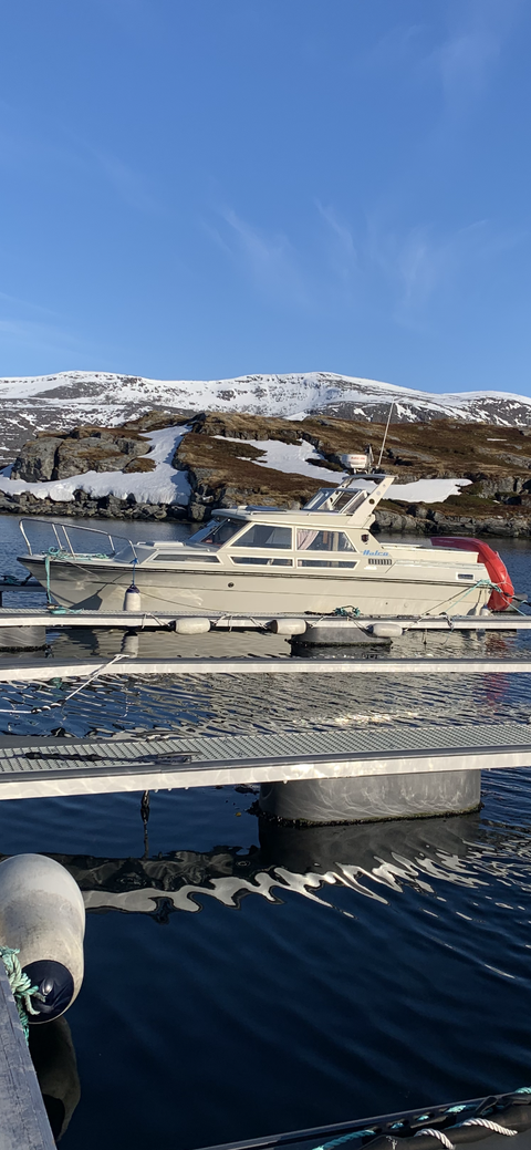 Halco - Båter til salgs | FINN Båt