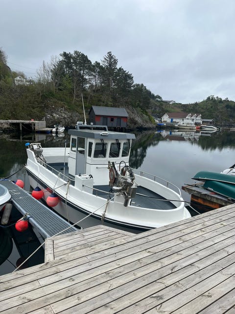 Halco - Båter til salgs | FINN Båt