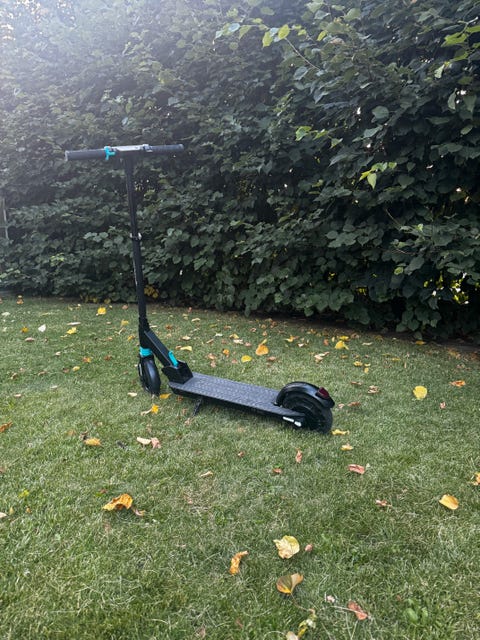 Classywalk | til salgs | FINN Torget