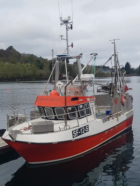 Selfa, Yrkesbåt, Sjark og Skøyte - båter til salgs | FINN Båt