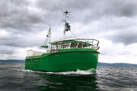 Selfa, Yrkesbåt, Sjark og Skøyte - båter til salgs | FINN Båt