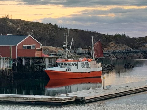 Selfa, Yrkesbåt, Sjark og Skøyte - båter til salgs | FINN Båt