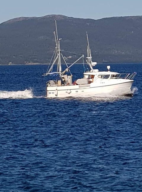 Selfa, Yrkesbåt, Sjark og Skøyte - båter til salgs | FINN Båt