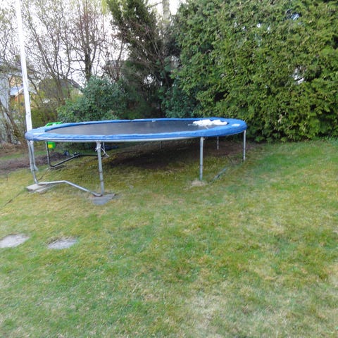 Jumpking oval stor trampoline 3.7 x 4,9 | FINN-torget