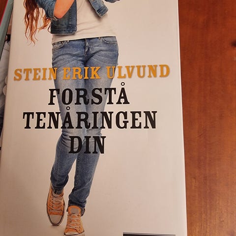 Bok selges - Forstå barnet ditt, 8 - 12, av Stein Erik Ulvund | FINN-torget