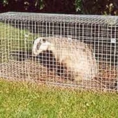 conibear 120 | FINN-torget