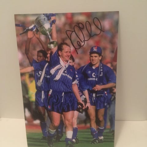 Hodelykt - Lupine Blika og Piko | FINN-torget