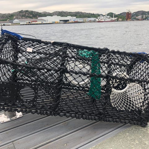 Hummerteiner / Krabbeteiner, våre modeller fra OK Marine | FINN-torget