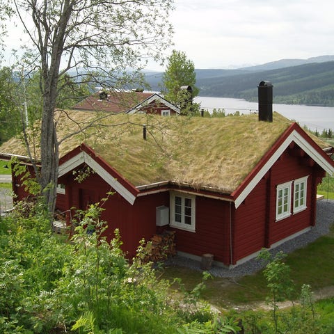 Torvtak i 50 liters sekk. "Gjør-det-selv-pakke" | FINN-torget