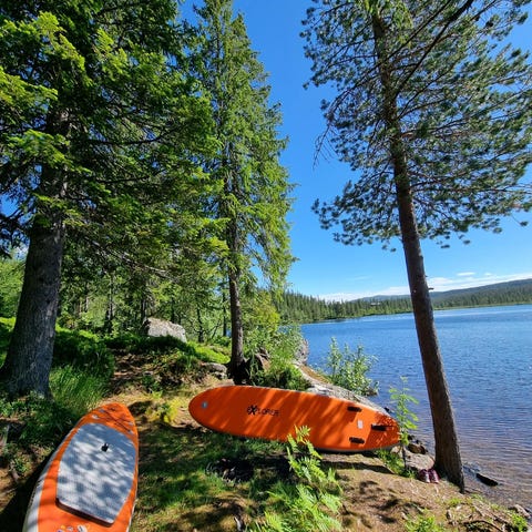 TIL LEIE - SUP-brett | FINN-torget