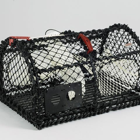 Hummerteiner / Krabbeteiner, våre modeller fra OK Marine | FINN-torget