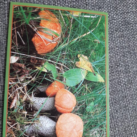 Ramona Service 18 deler | FINN-torget