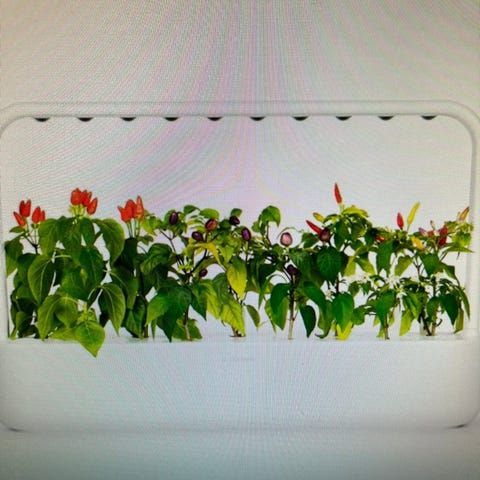 Cato Ringstad hjelm. Størrelse M | FINN-torget