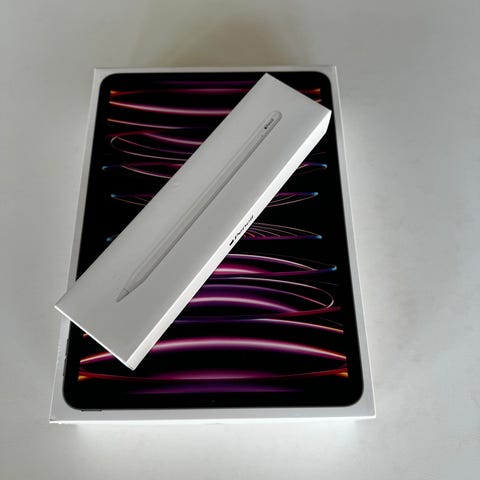 Apple IPad Pro 11 M2 (4 gen) 256GB+Cell (5G) m /Apple Pencil 2 | FINN ...