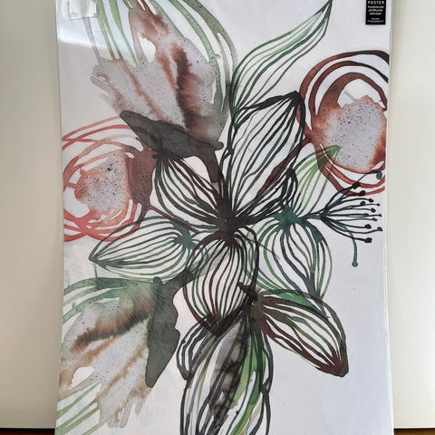 Postere | FINN-torget