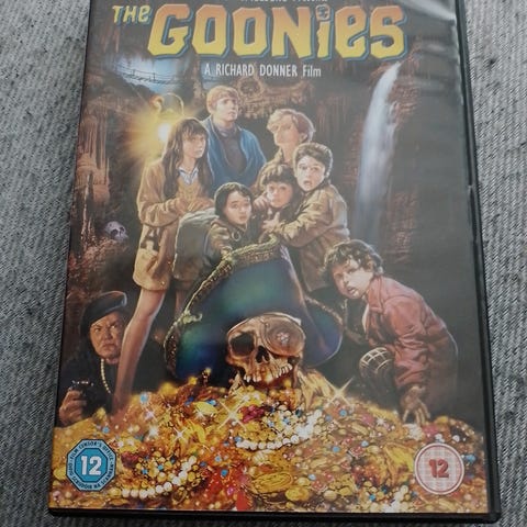 The Goonies DVD | FINN-torget
