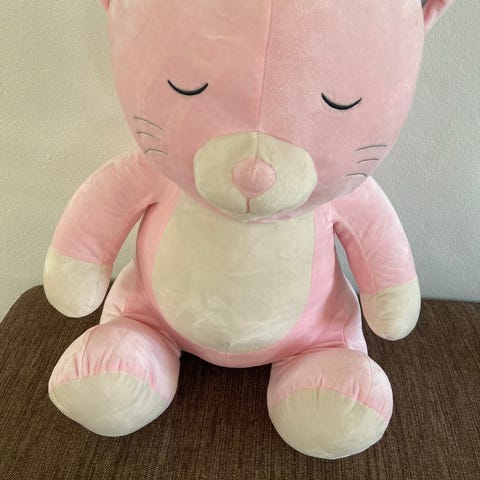 Stor zebra bamse | FINN-torget