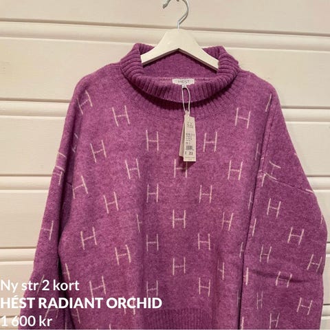 Ny Hést genser Hést fam radiant orchid str 2 | FINN torget