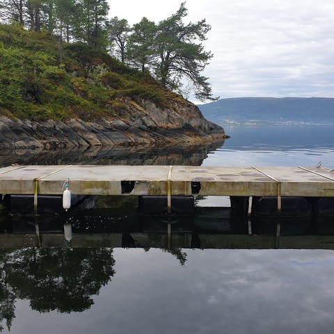 3 krepseteiner, 3 hummerteiner og 2 krabbeteiner med tau, blåse og agnbokser | FINN-torget