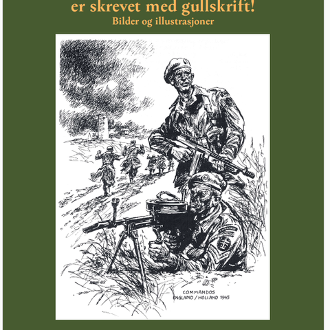 JAPANSK SAMURAI SVERD, WAKIZASHI, KATANA TSUBA | FINN-torget