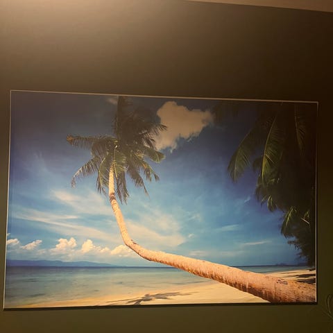 Stort bilde selges | FINN-torget