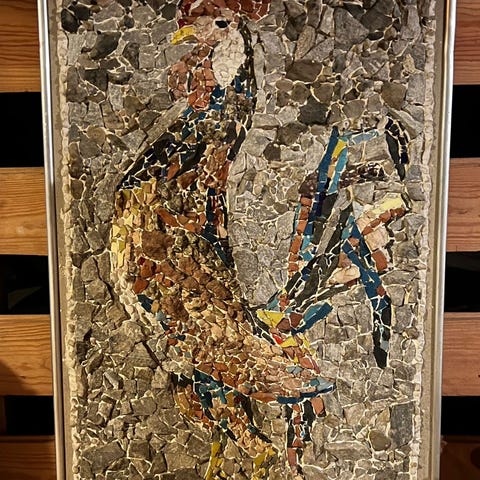 Bjerk i storm - bilde | FINN-torget