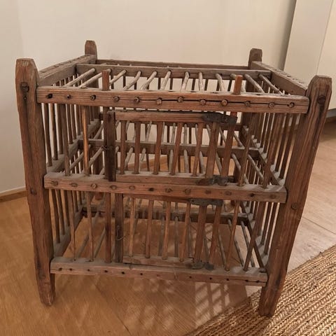 rugeegg dverg 30kr stk og kyllinger | FINN-torget