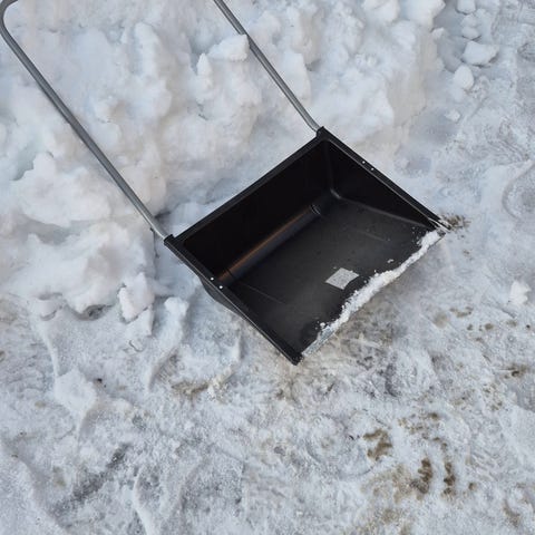 Gullhamster jente med bur ønsker nytt hjem | FINN-torget