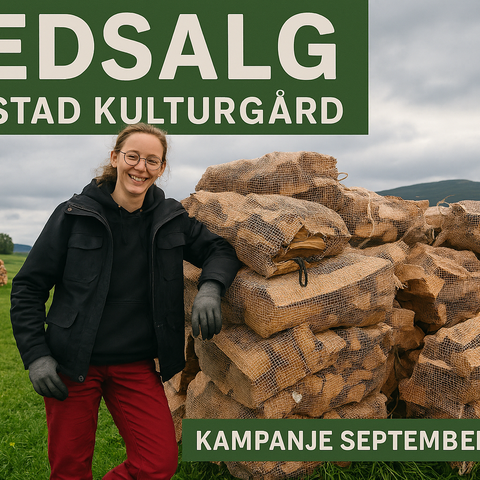 IKEA EXPEDIT glassplate 33x33 cm (ny i emballasje) | FINN-torget