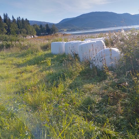 Rundballer selges. 1 slått. 8 lag med plast. | FINN-torget