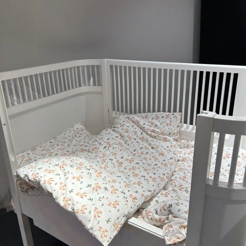 Sebra kili seng | FINN-torget