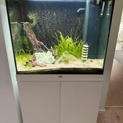 Akvarie utstyr | FINN-torget