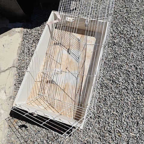 Kaninbur | FINN-torget