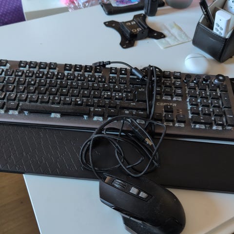Vidamic Technokey og Mousetrapper mus i fin stand | FINN-torget
