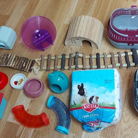 Utstyr og leker til hamster | FINN-torget