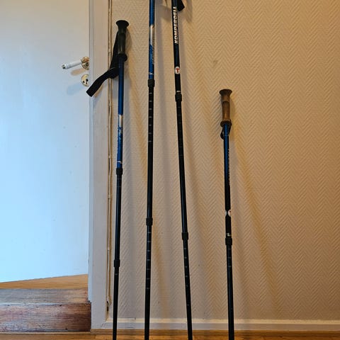 Gåstaver 105-135 cm High Colorado Trail Lite | FINN-torget