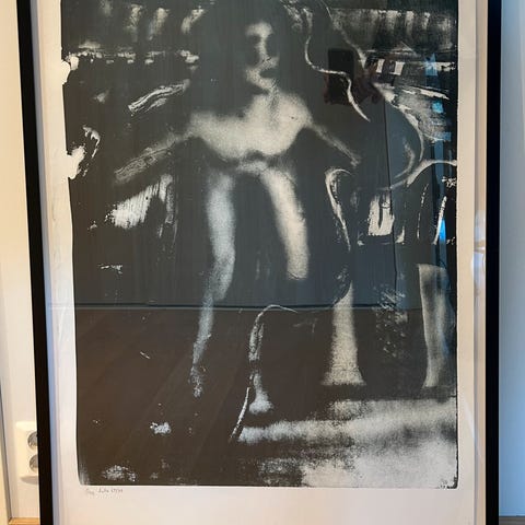 Dag Hol Litografi- Jæren | FINN-torget