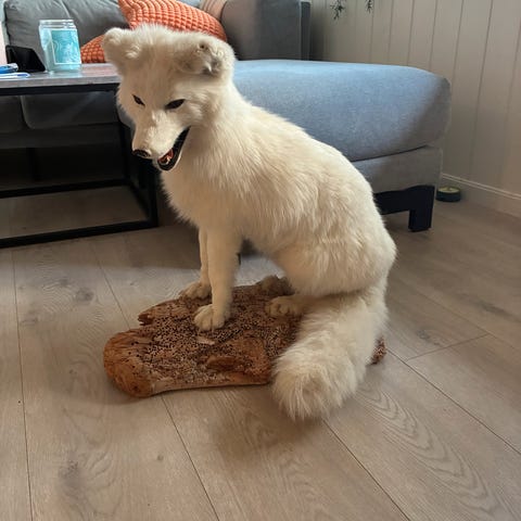 Finsk støver | FINN-torget