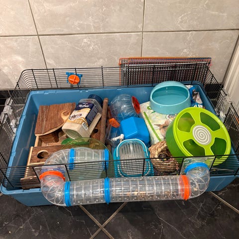 Hamster med bur og utstyr | FINN-torget