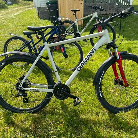 Sykkel Diamant Flash 24 | FINN-torget