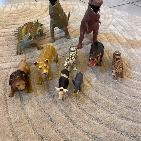 Ulike typer dyr | FINN-torget