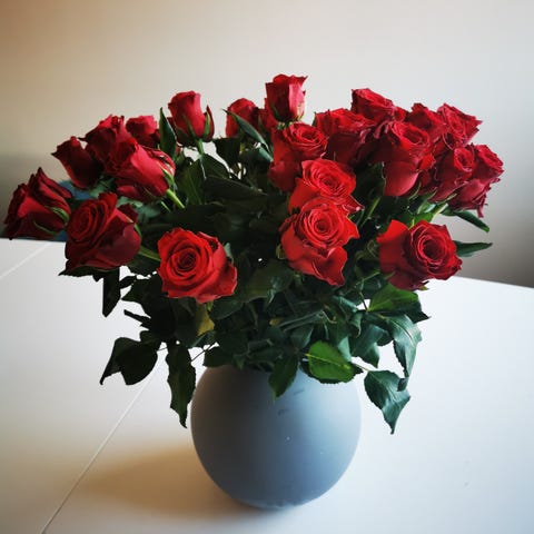 En bukett med 101 røde roser, 50 cm. EN UTROLIG BUKETT. | FINN-torget