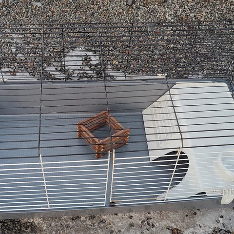 Kaninbur(er) med masse tilbehør | FINN-torget