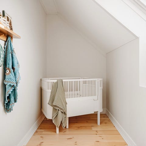 Sebra kili seng | FINN-torget