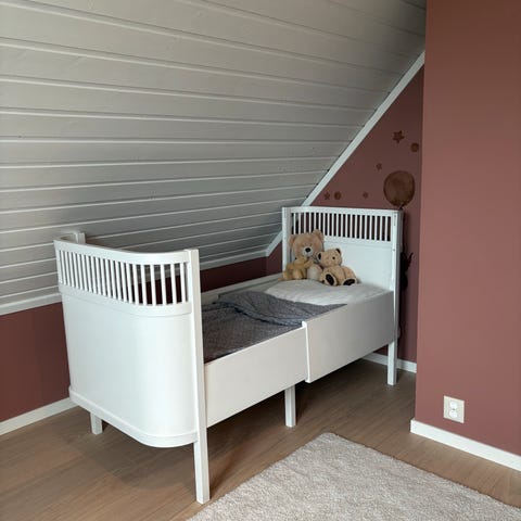 Sebra kili seng | FINN-torget