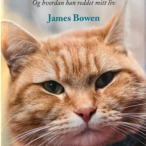 En gatekatt ved navn Bob av James Bowen | FINN-torget
